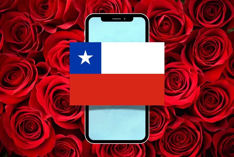 10 Best OnlyFans Accounts to Subscribe To: Top OnlyFans Accounts in ...